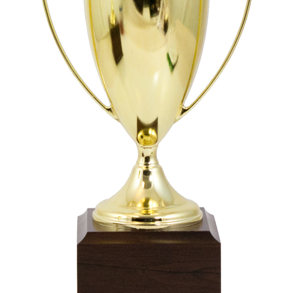 gold trophy